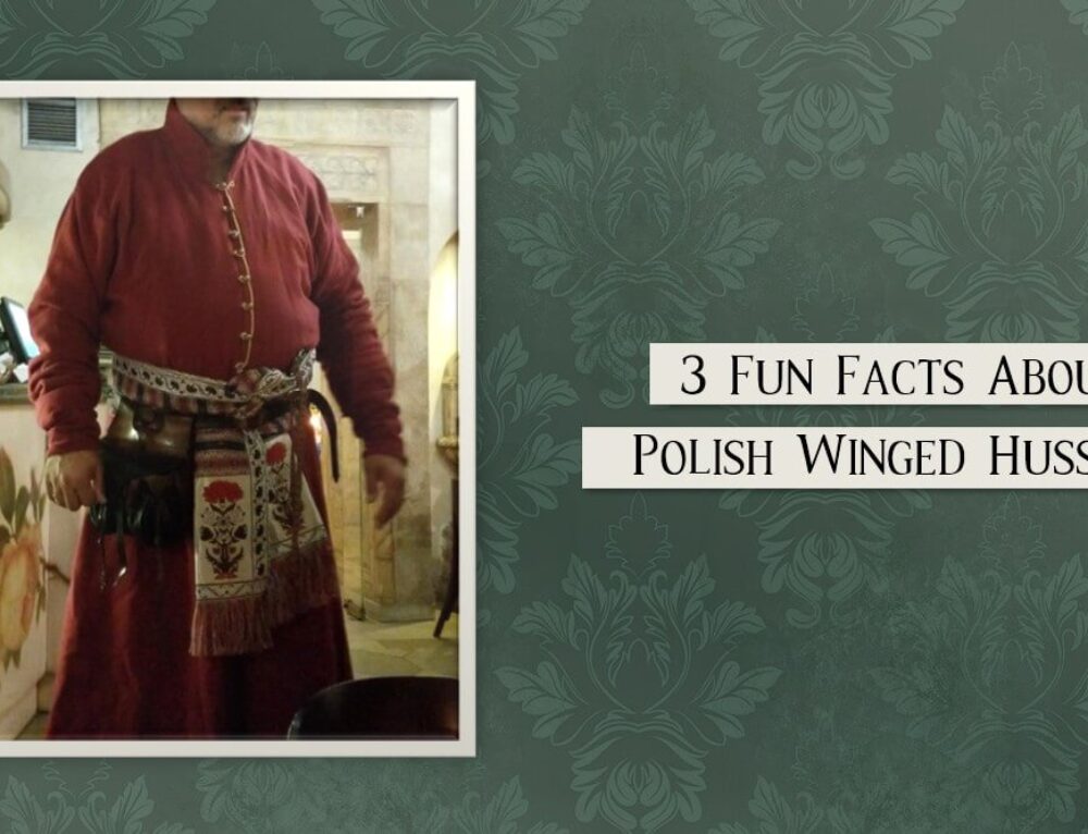 The Battle of Vienna: The Most Famous Hussar Victory of All - Griffin Brady